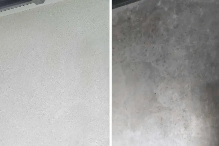 Schimmelschutz für die Wand: dauerhaft & effizient